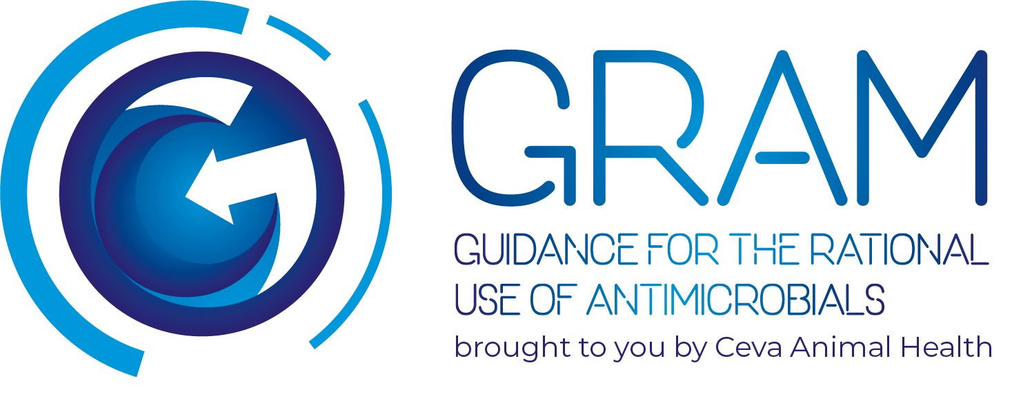 Bella Moss Foundation and our message | The Bella Moss Foundation